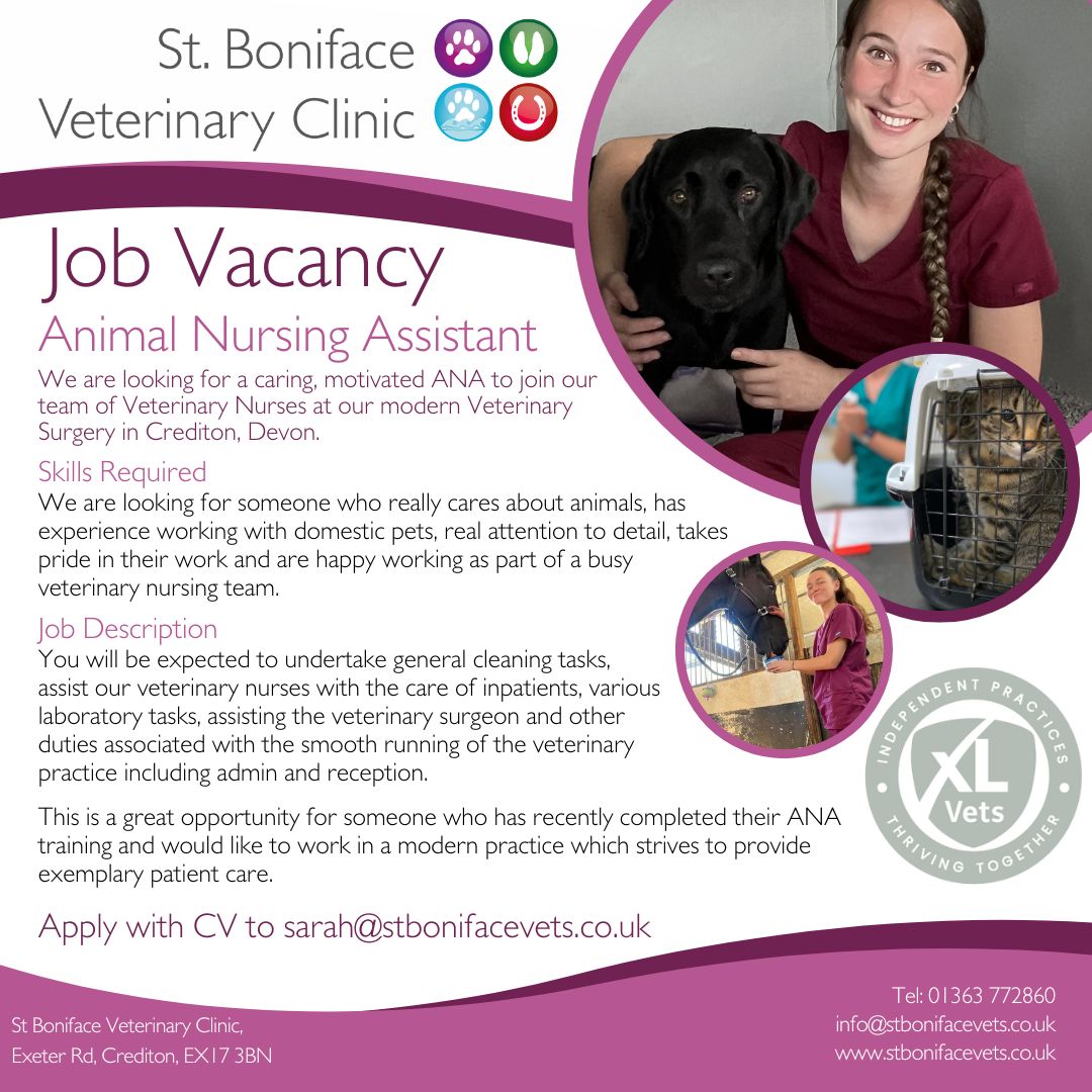 News | St.Boniface Veterinary Clinic